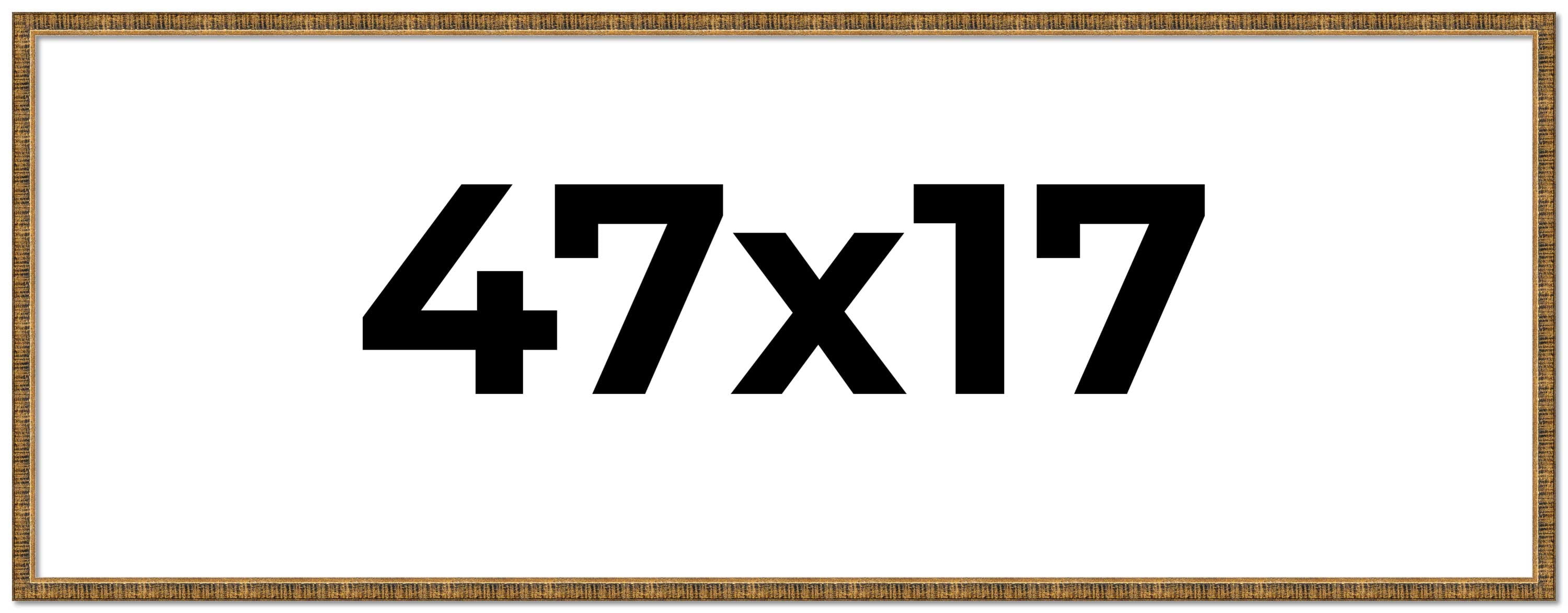 47x17 Frame Gold Picture Frame - Complete Modern Photo Frame Includes ...