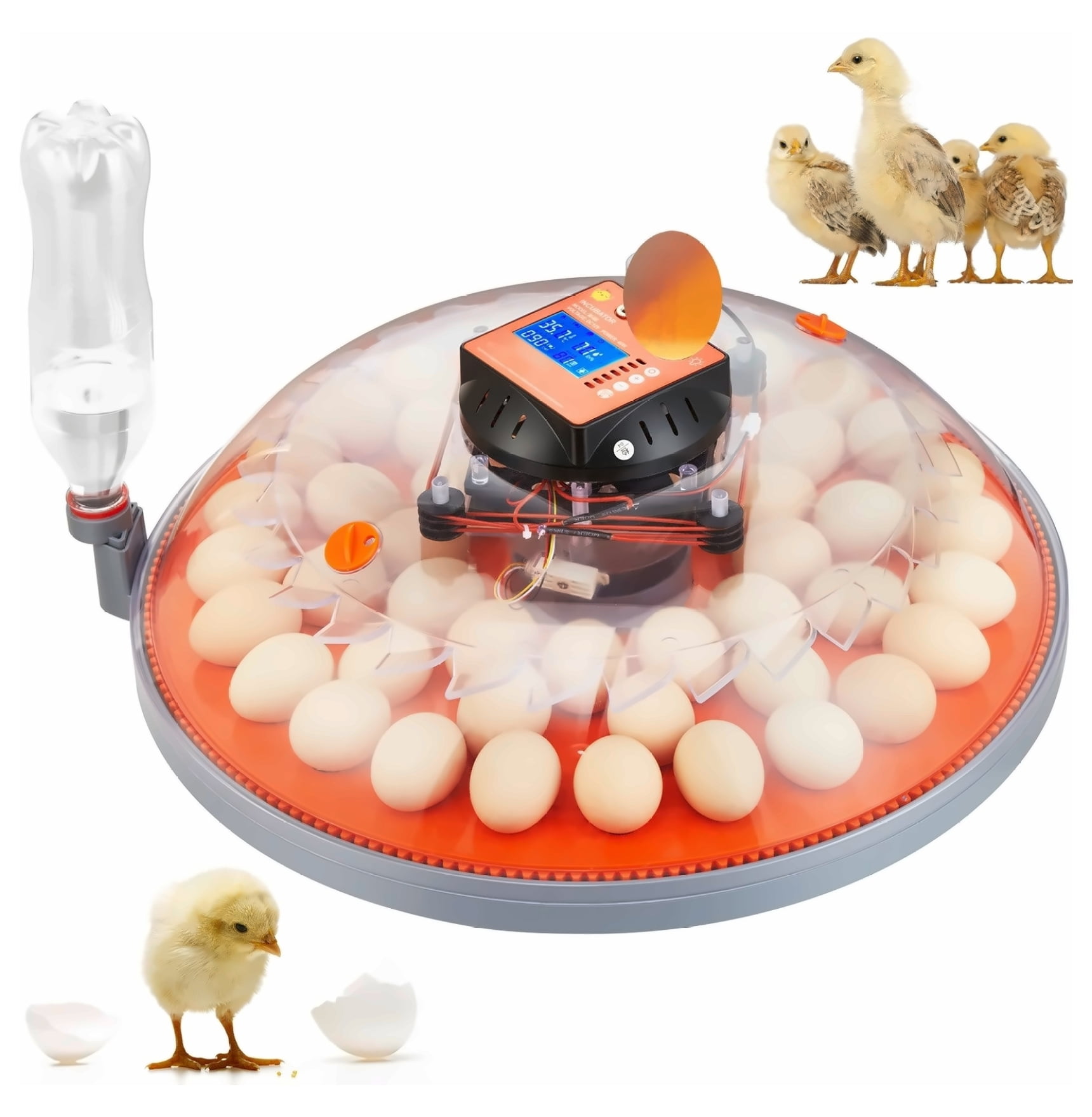 48 Egg Incubator - Automatic Turner & Temperature Control - Hatching ...