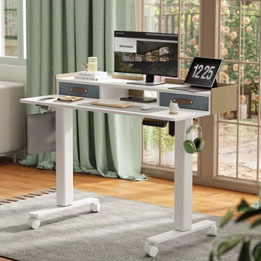 FlexiSpot 55"x24" Height Adjustable Standing Desk with 2 Drawers ...