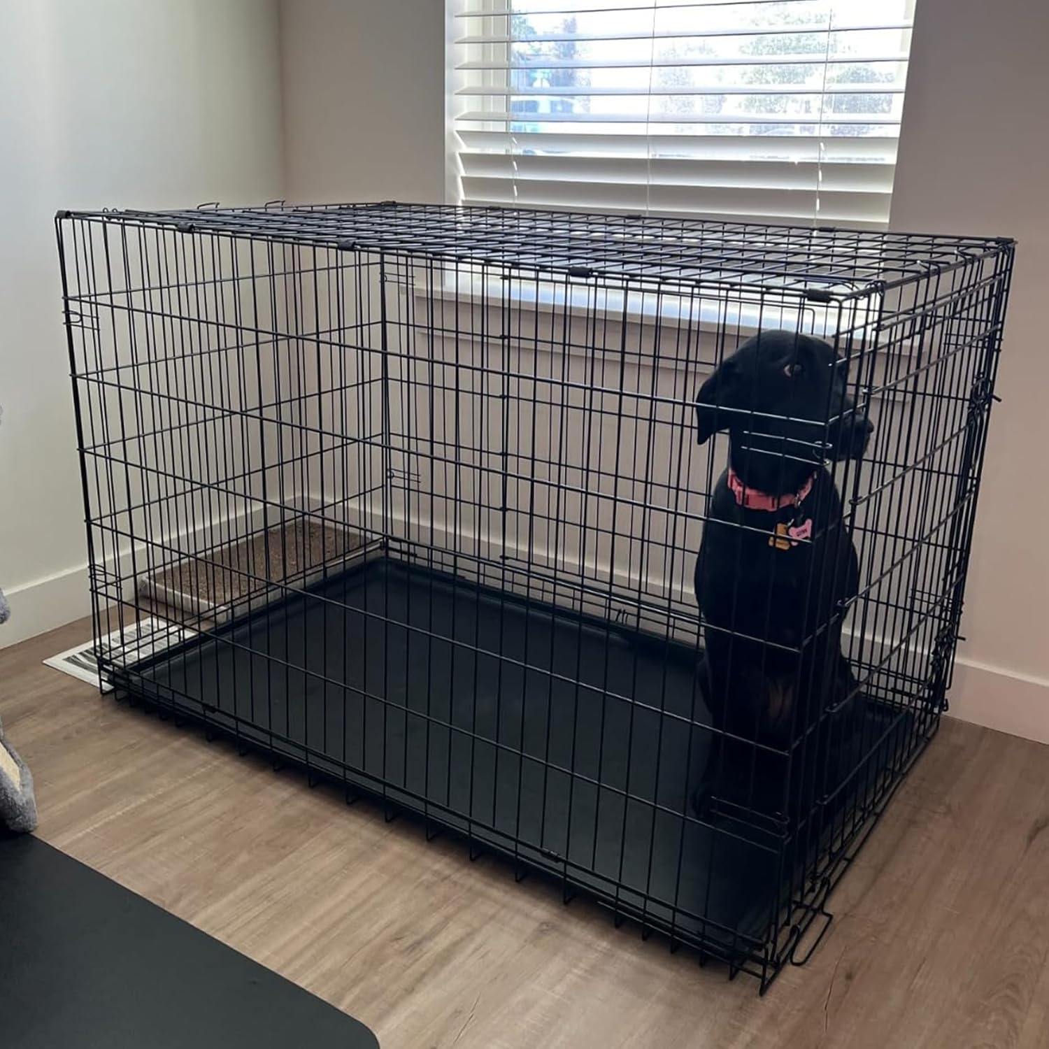 48 Inch Dog Crates for Large Dogs Folding Dog Cage Metal Wire Crates ...