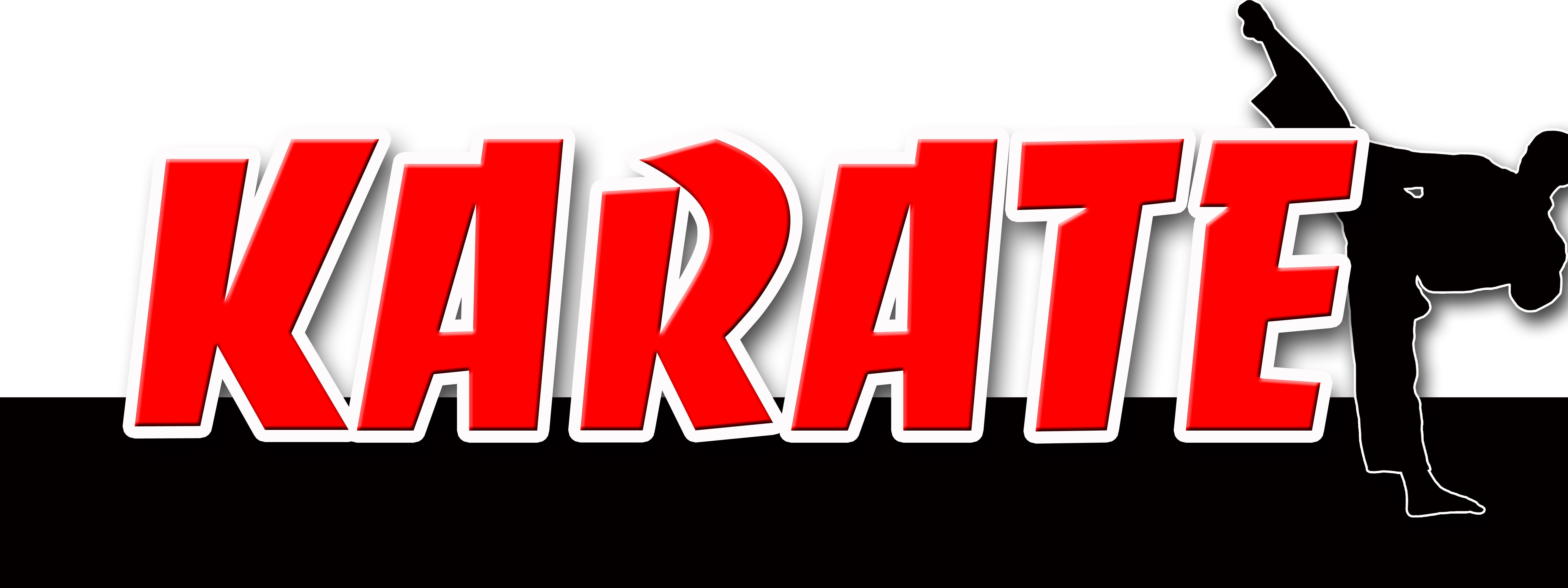 48" KARATE DECAL sticker martial art defense school lessons jiu-jitsu ...