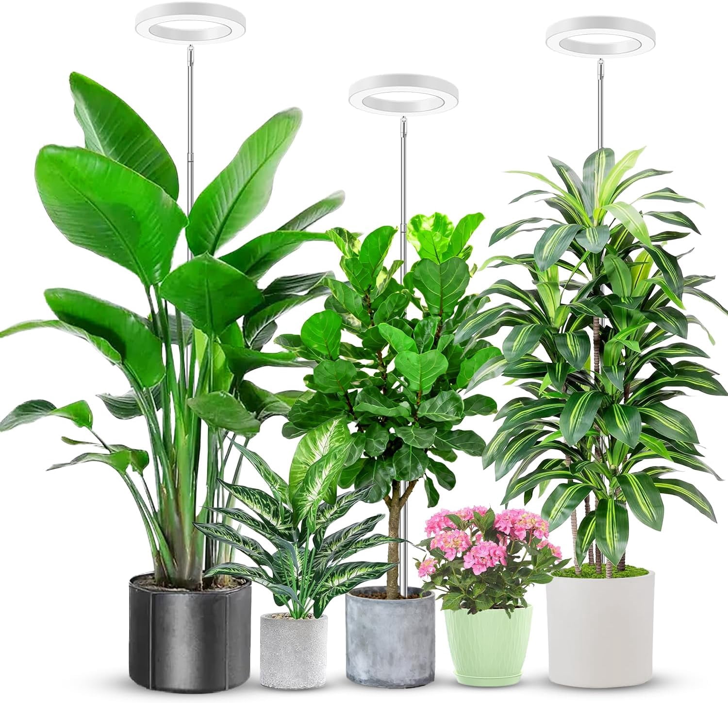 48 LEDs Full Spectrum Grow Lights for Indoor Plants, Height Adjustable ...