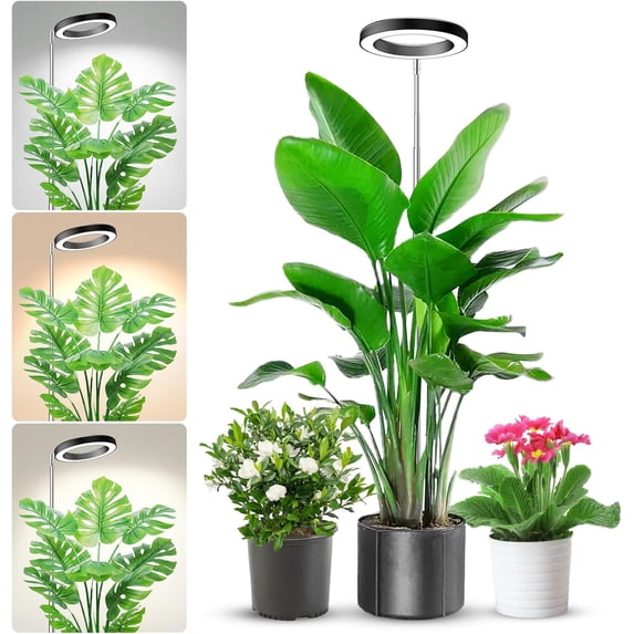 48 LEDs Full Spectrum Grow Lights for Indoor Plants, Height Adjustable ...