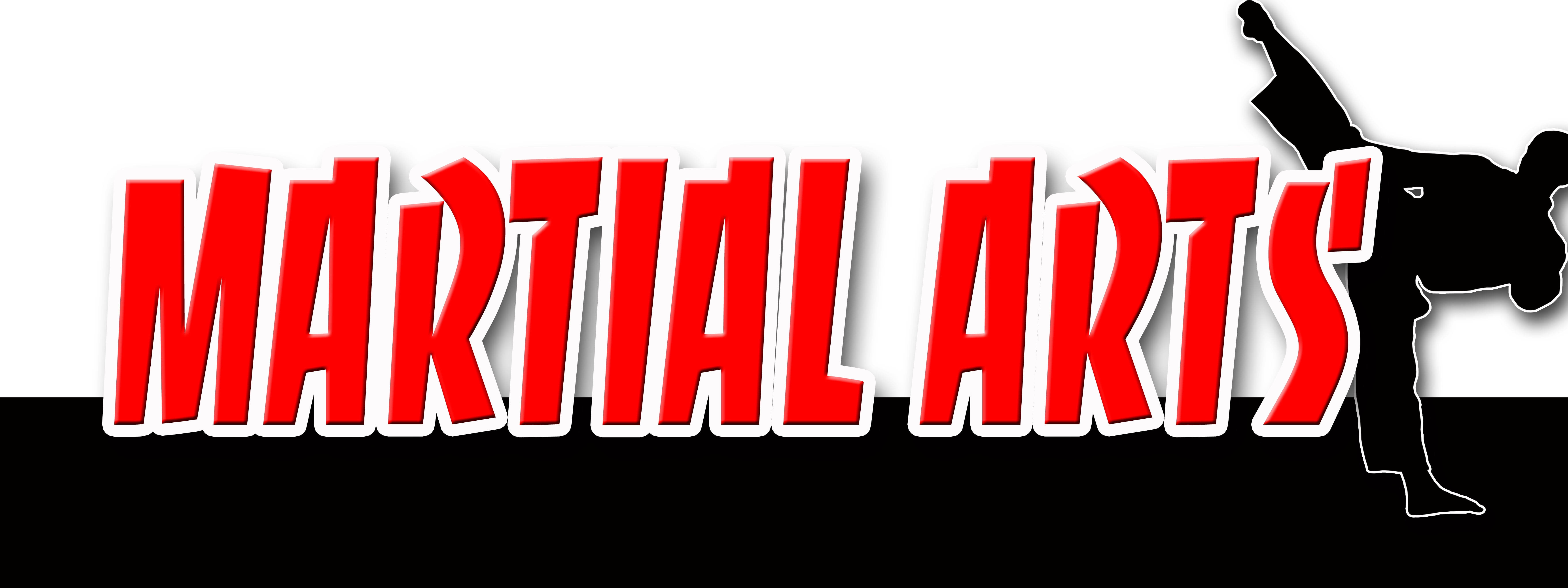 48" MARTIAL ARTS DECAL sticker jiu-jitsu kung fu tae kwon do judo ...