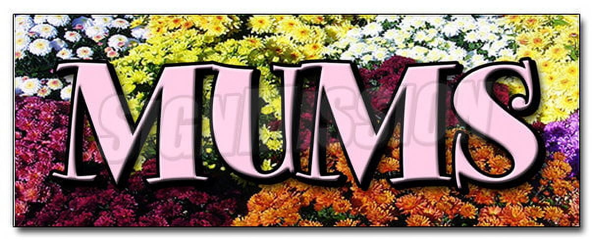 48" MUMS DECAL sticker flower florist shop shoppe plants rose plant ...