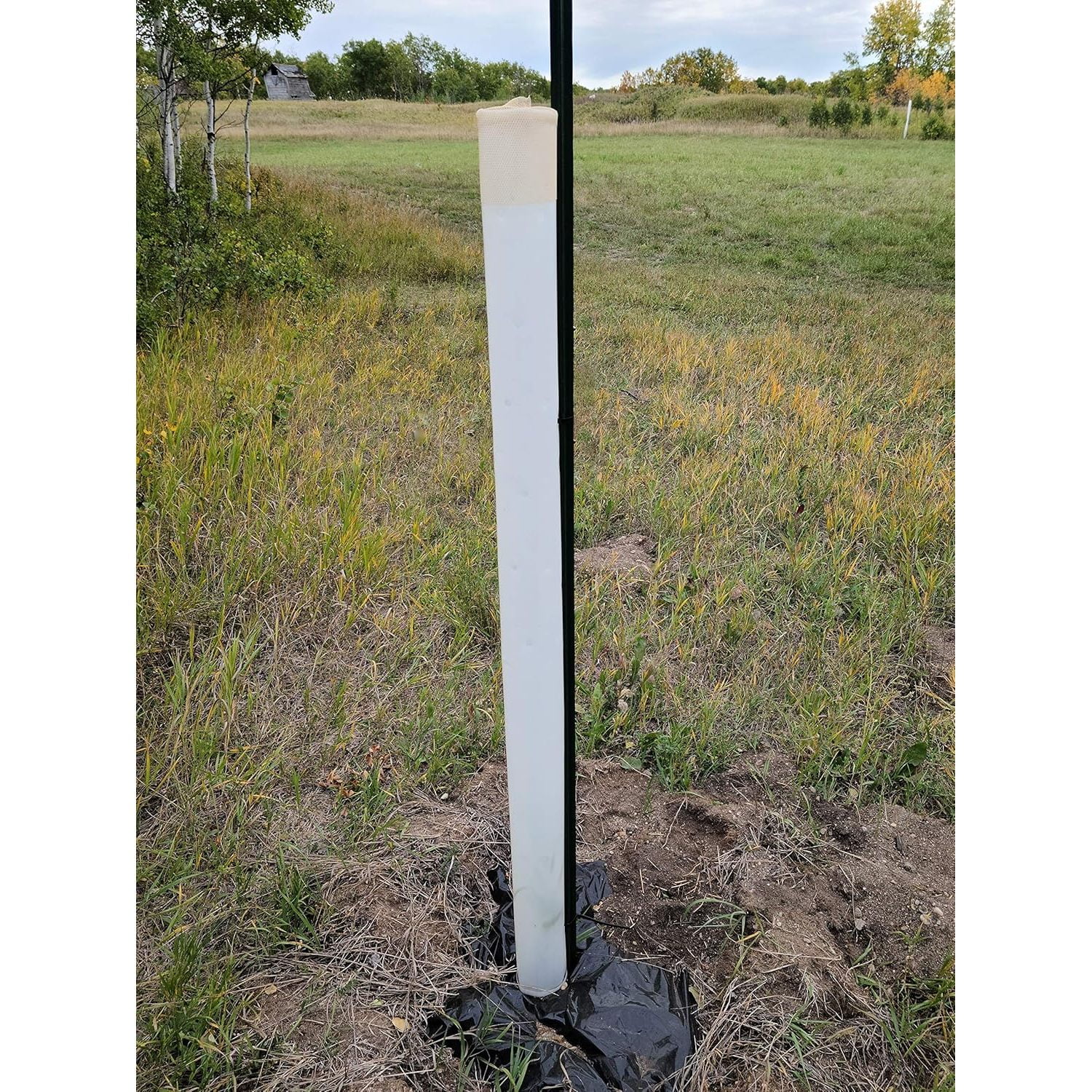 48" Miracle Tree Tube - Grow Tube - Tree Shelter (5) - Walmart.com