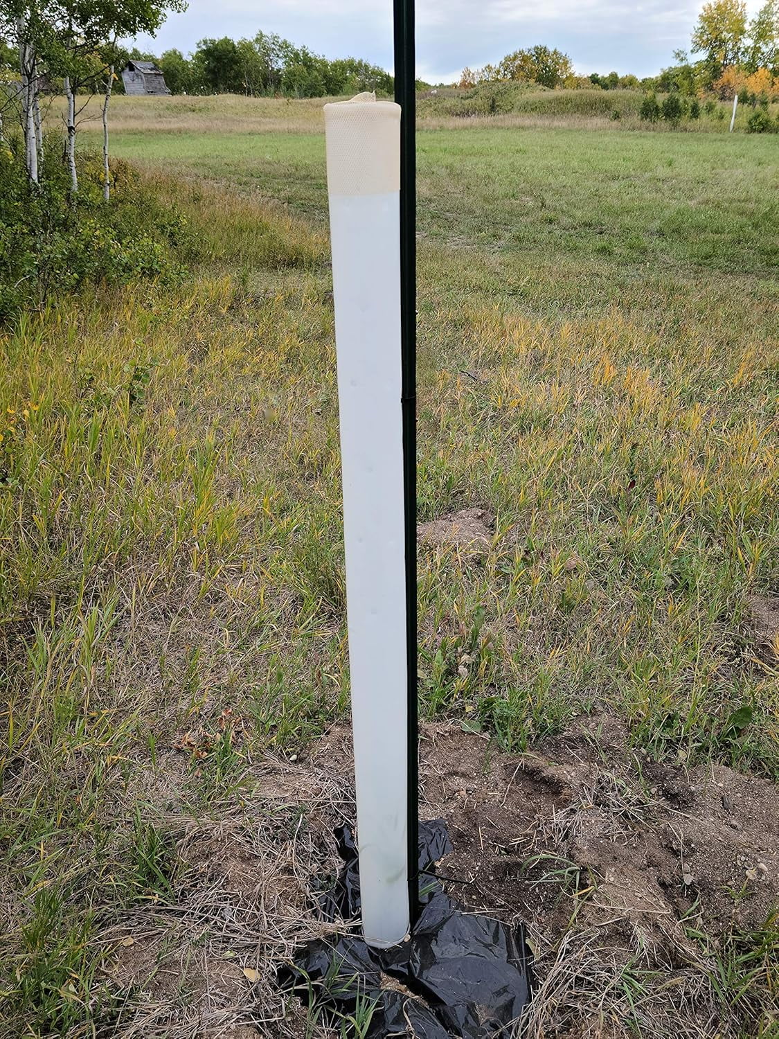 48" Miracle Tree Tube - Grow Tube - Tree Shelter (5) - Walmart.com