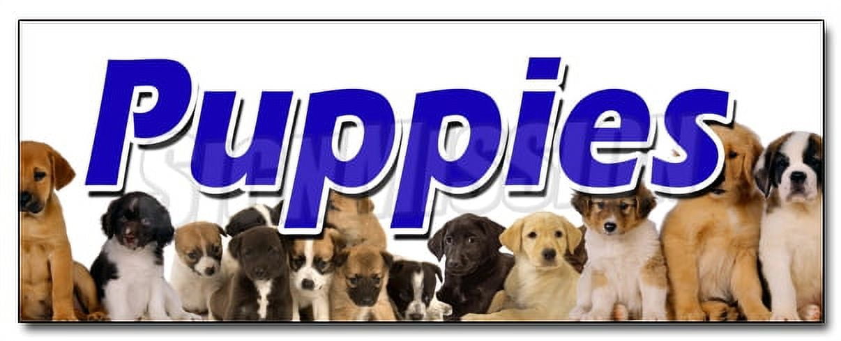 48" PUPPIES DECAL sticker purebred breeder guaranteed cats healthy dogs ...