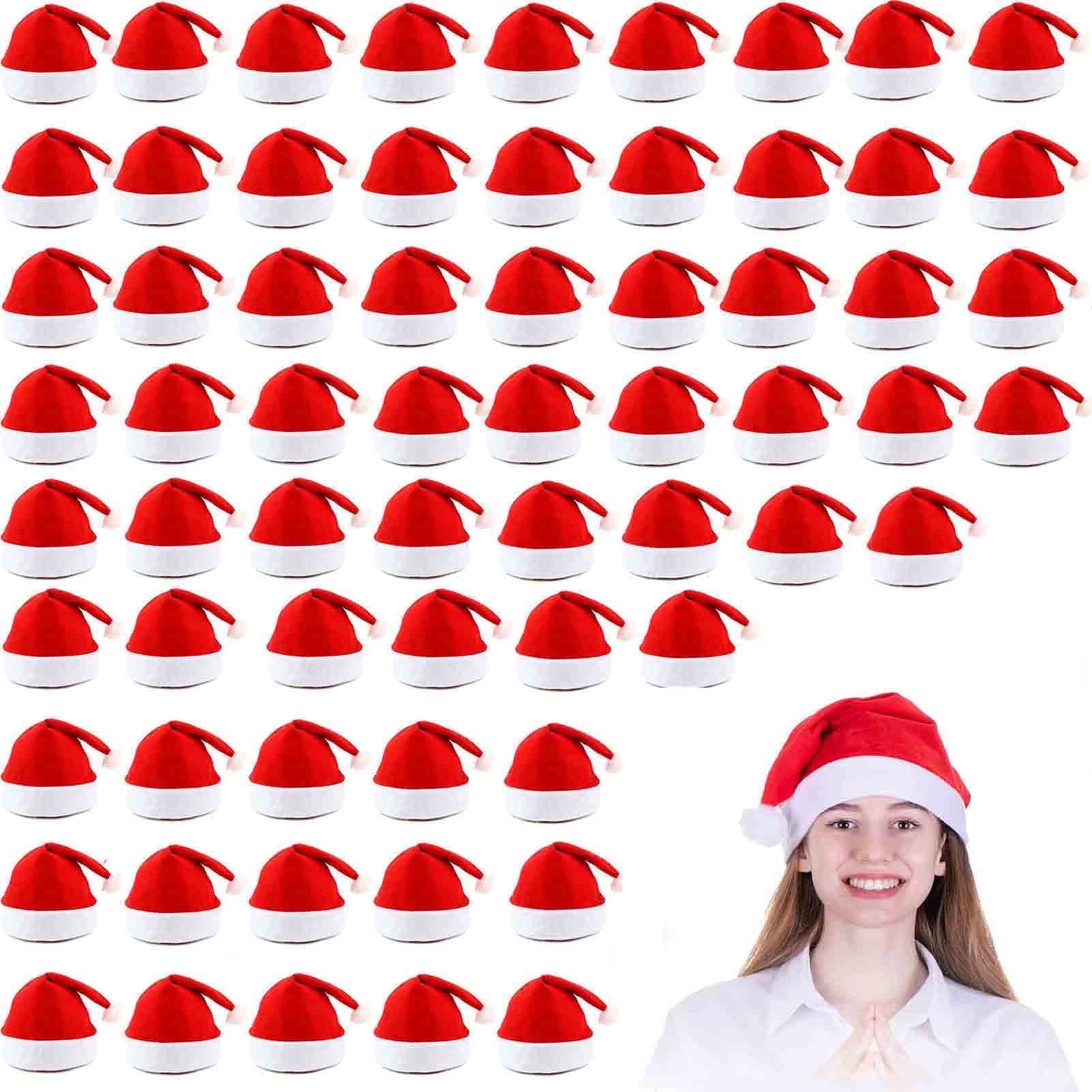 48 Pack Christmas Hats for Adults,Bulk Santa Hats for Adults,Universal ...