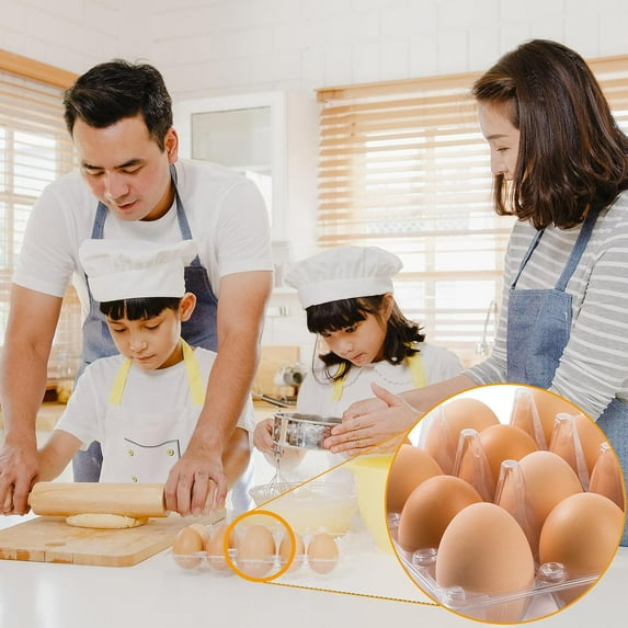 48 Pack Clear Plastic Egg Cartons - Reusable Medium Size for Chicken ...