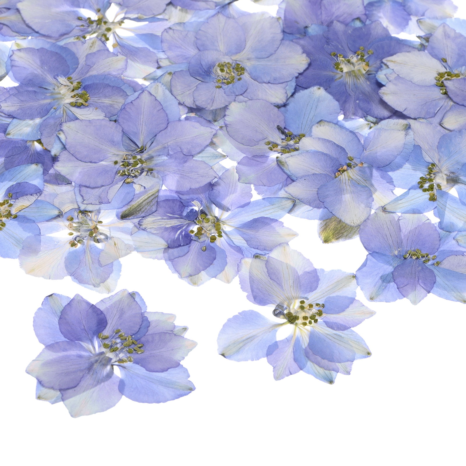 48-Pack Dried Pressed Flowers for Resin, Real Natural Bulk Dry Floral ...