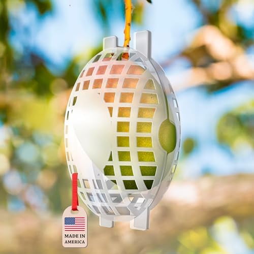 48 Pack - Fruit Protection Cages for Mangoes & More | Large 5x8 inch ...