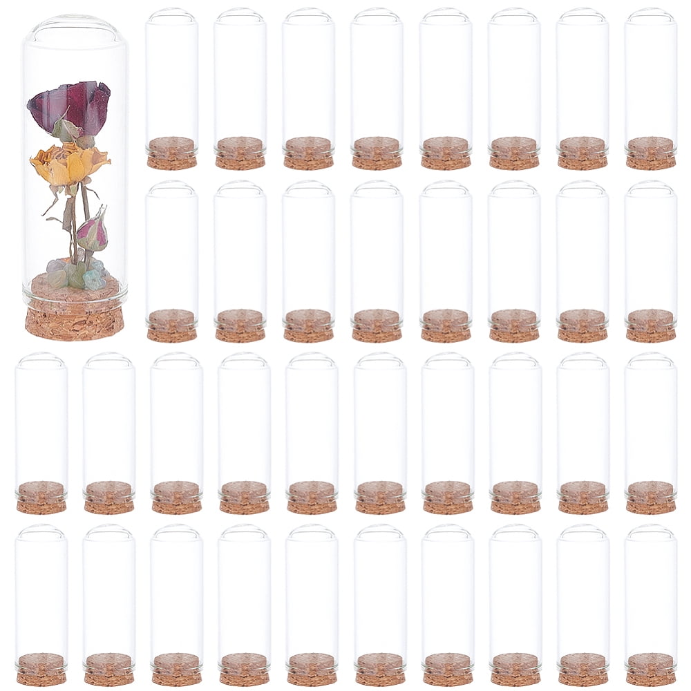 48 Sets Dome Decorative Display Case 3.1x1.1inch Dome Decorative Jars ...
