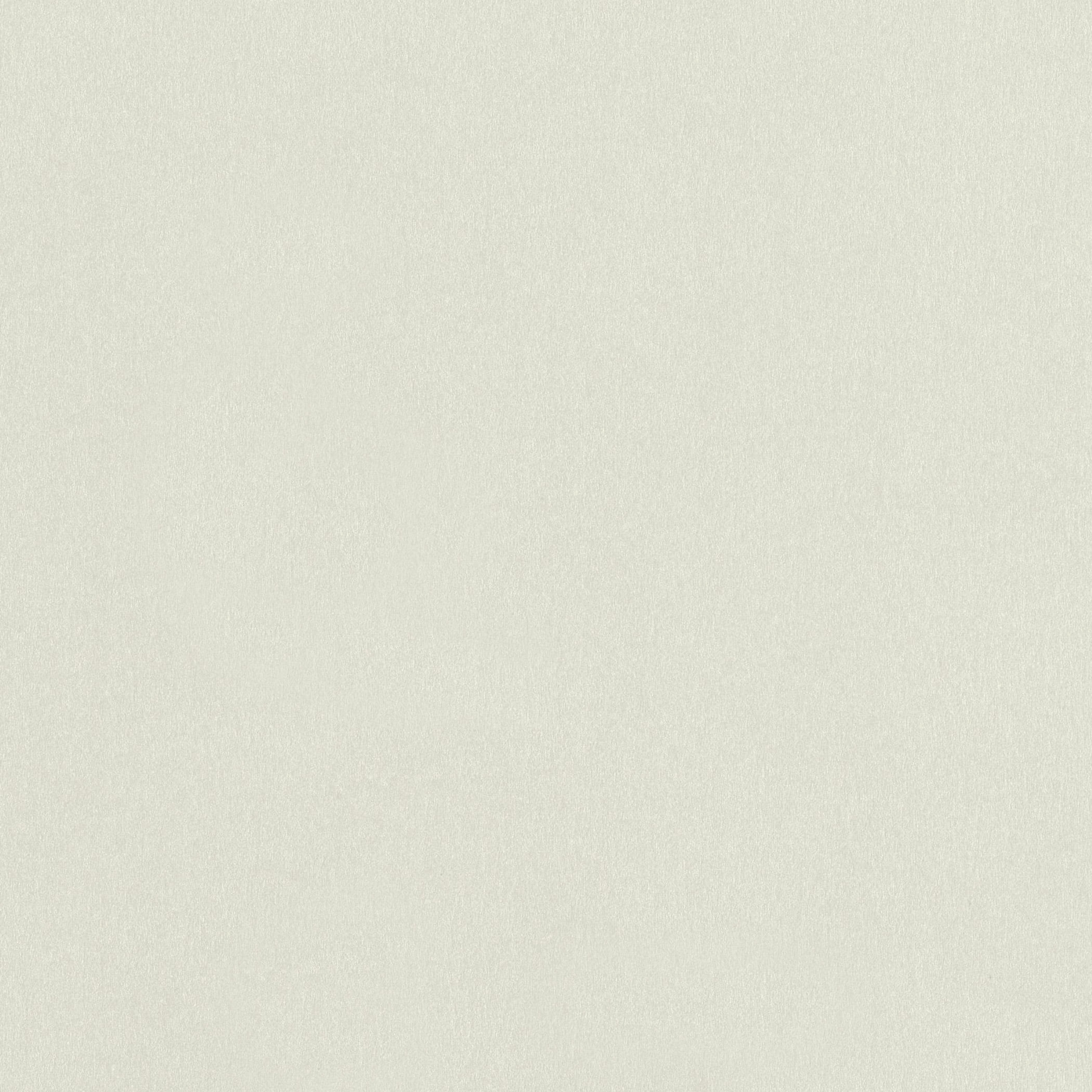 48 Sheets Gray Shimmer 12” x 12” Cardstock Paper by Recollections ...