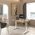 48" Solid Wood Electric Standing Desk with Drawers Integrated Wireless ...