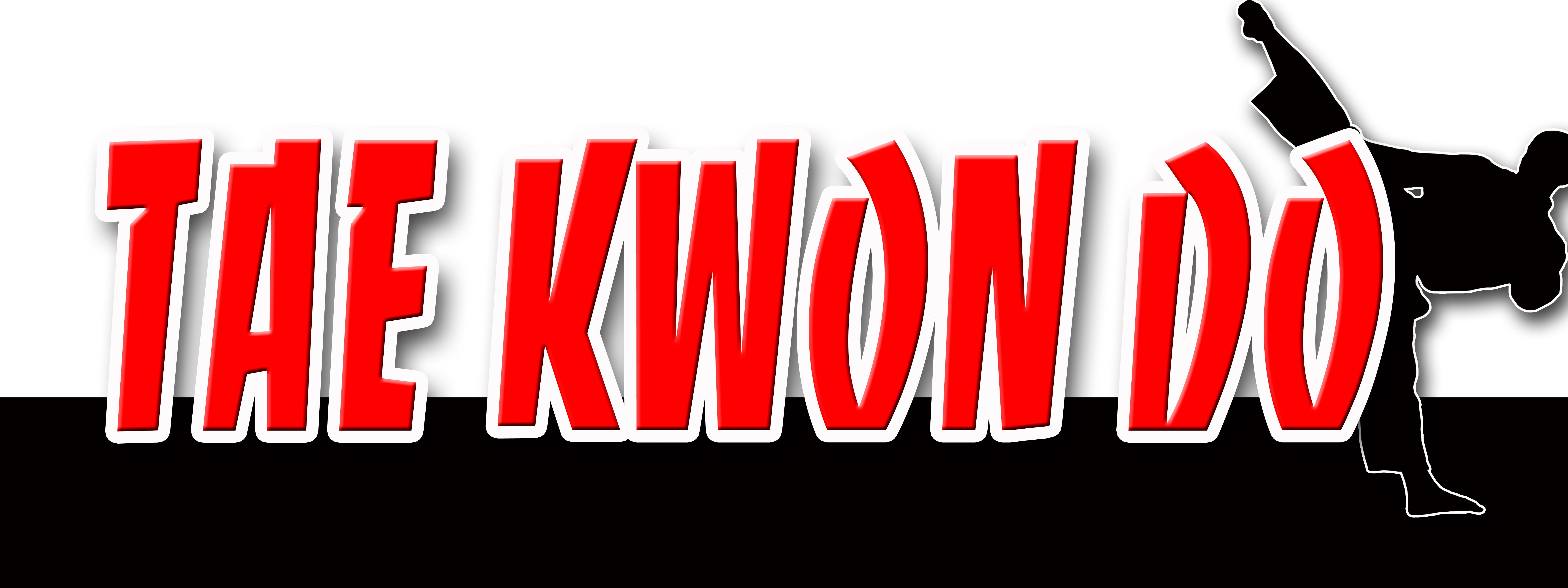 48" TAE KWON DO DECAL sticker martial art defense school lessons jiu ...
