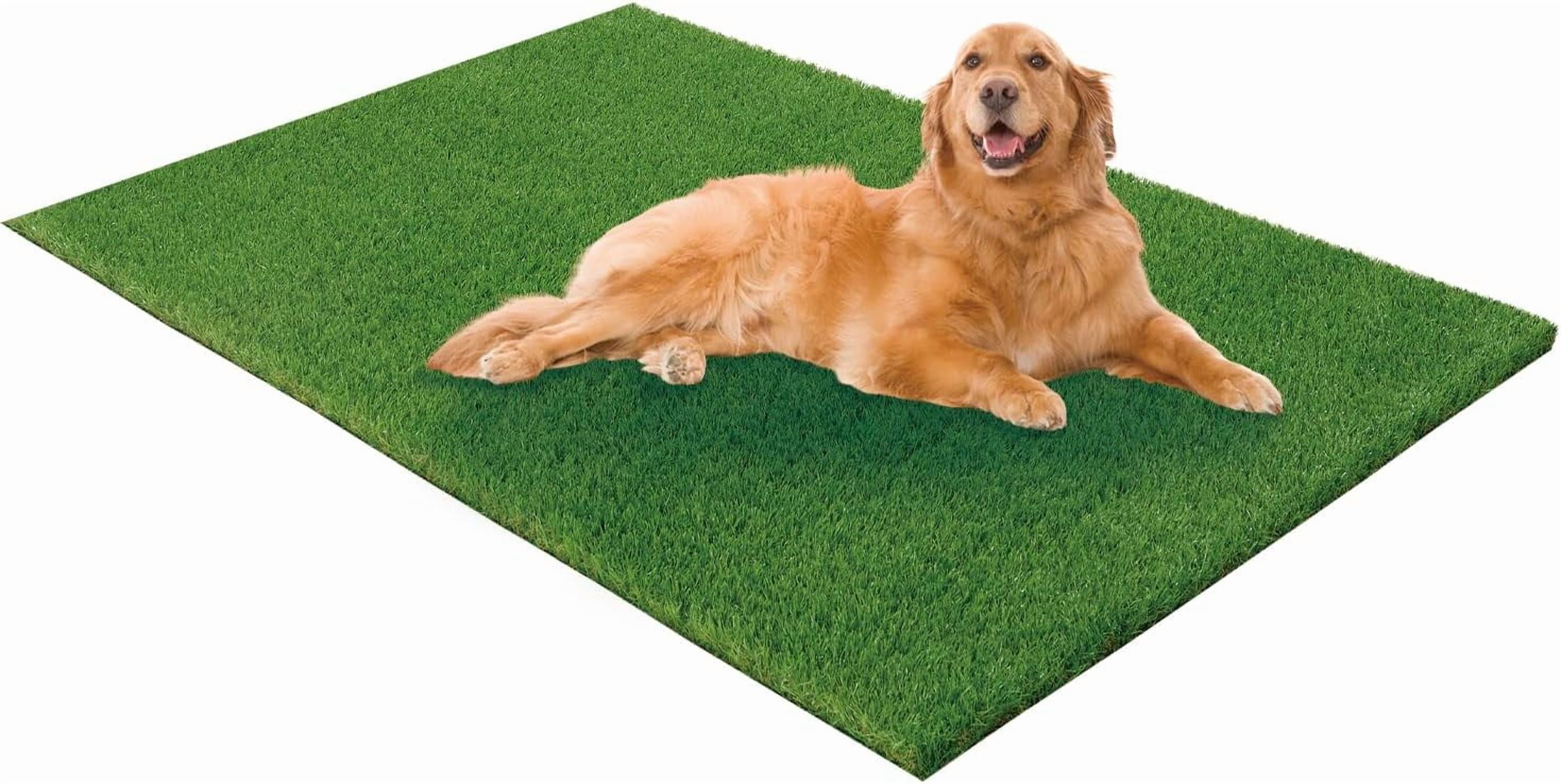 48" X 32" Artificial Dog Grass Pad 2 PCS - 1.38" Thick Fake Grass Pee ...