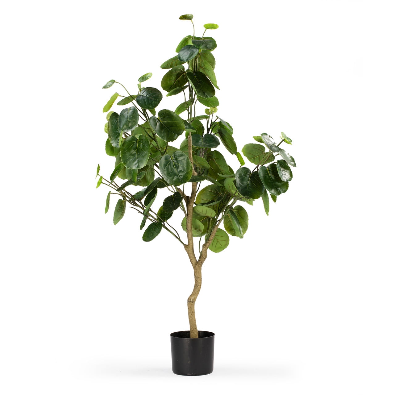 48 inches Artificial Fiddle Money Bag Tree in Plastic Nursery Pot ...
