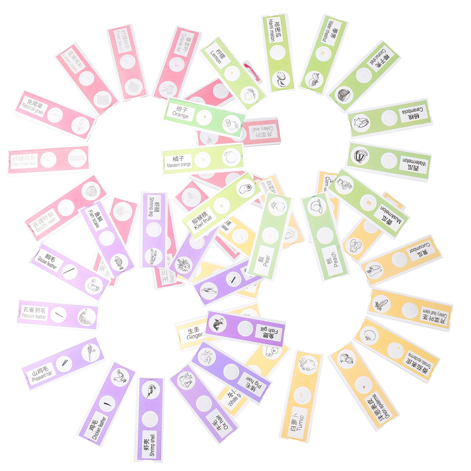 Raindrops Multi-Color Plastic Microscope Slides for Microbiology 48 ...