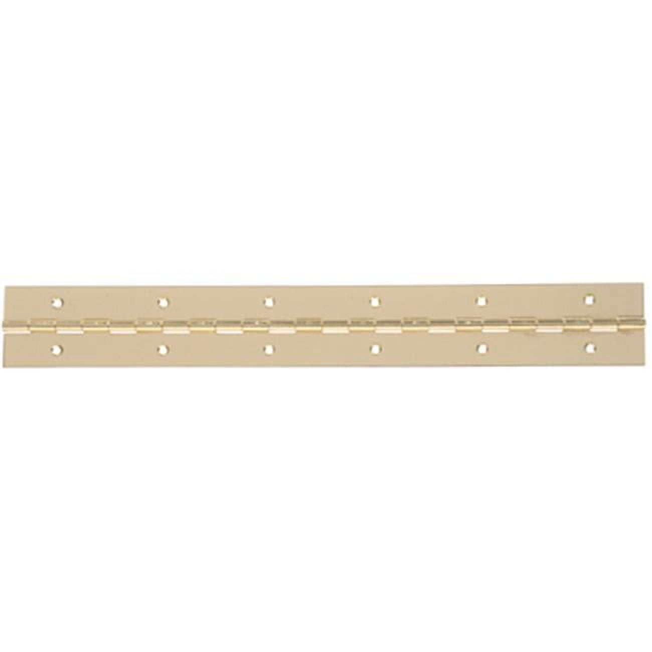 48 x 1.06 in. Surface Mount Continuous Hinge, Brass Plated - Walmart.com