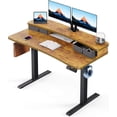 48" x 24" Electric Height Adjustable Standing Desk with 2 Drawers, C ...