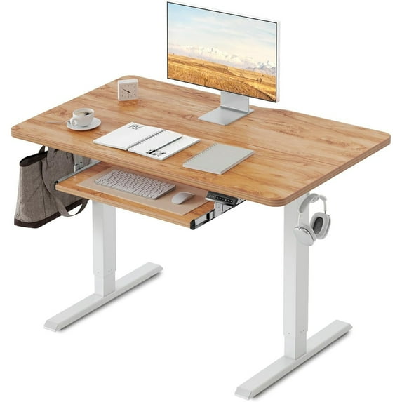 48 x 24 Inch Adjustable Height Standing Desk with Keyboard Tray Memory ...