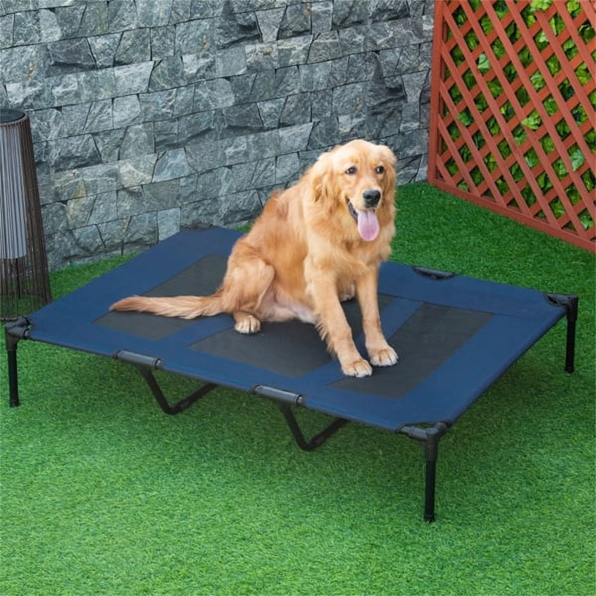 48" x 36" Elevated Folding Dog Cot Cooling Summer Pet Bed, Cool ...