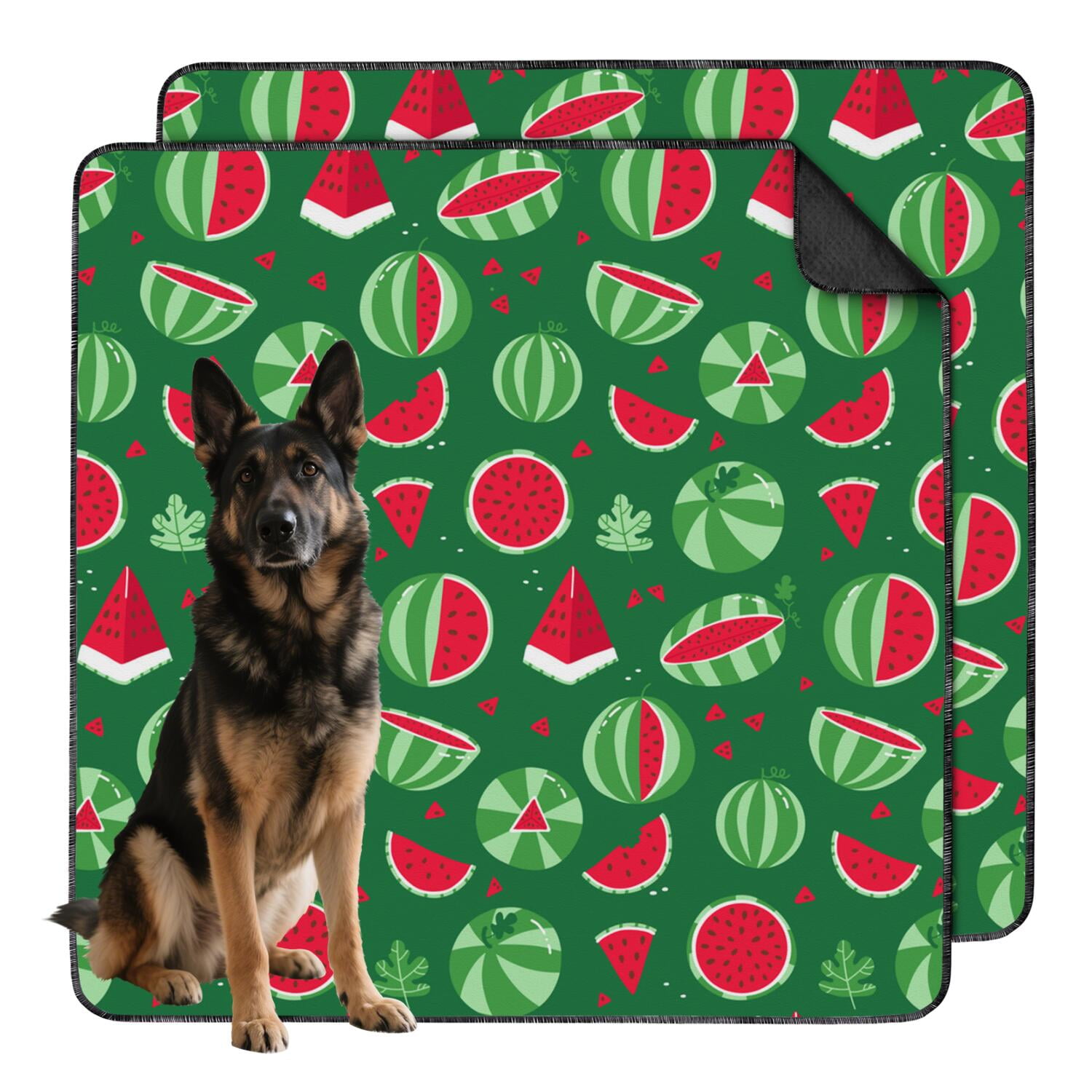 48"x48" Fruit Patterns Design Washable Dog Pee Pads Large, Reusable ...