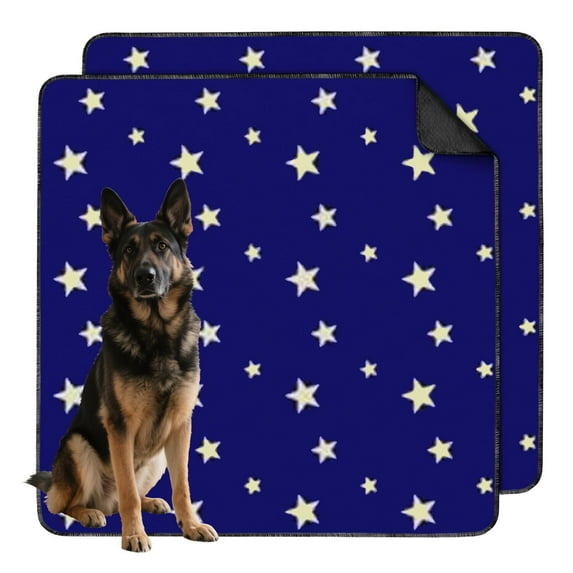 48"x48" Geometric Pattern Washable Pee Pads, Reusable Potty Pads for ...