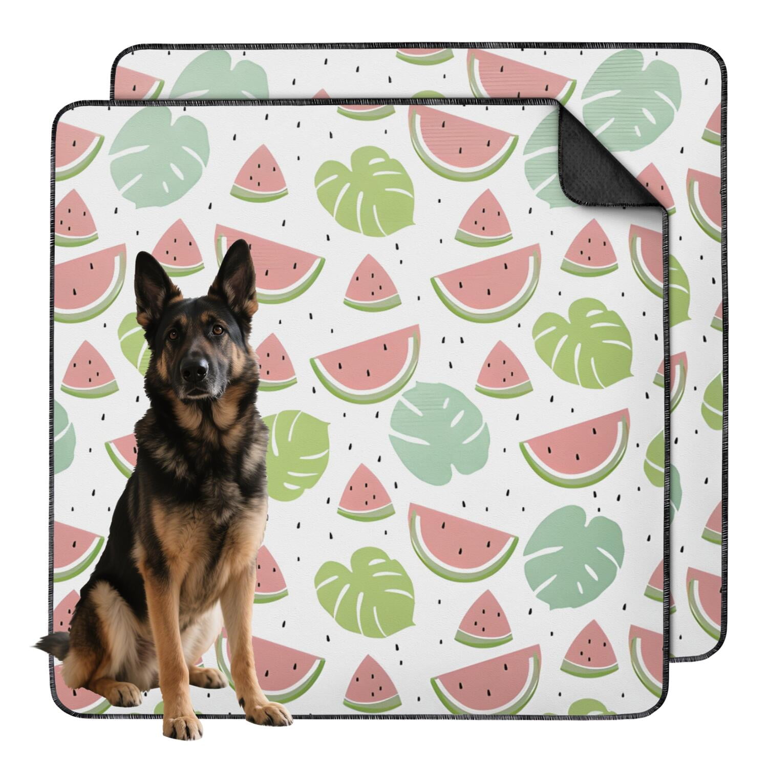 48"x48" Premium Fruits Print Washable Pee Pads for Dogs, Reusable Potty ...