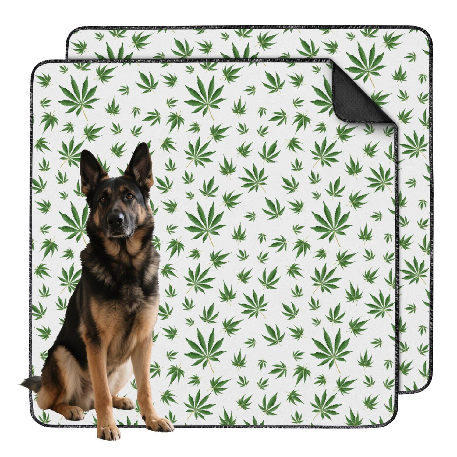 48"x48" Reusable Absorbent Pads for Dogs - Washable Pee Pads for Potty ...