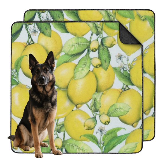 48"x48" Washable Puppy Pads with Fruit Design, Reusable Dog Pee Pads ...