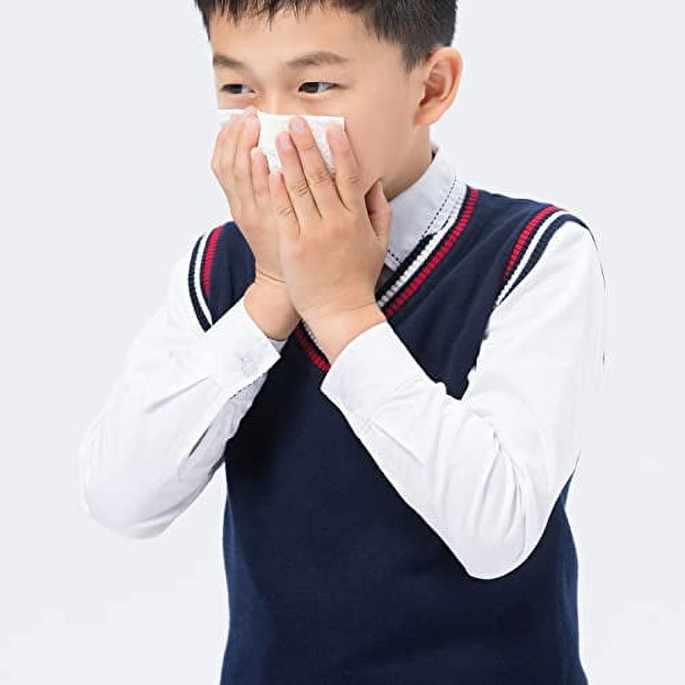 480-Pack Pocket Packs Facial Tissues, 4-Ply Mini Soft Packets Tissue ...