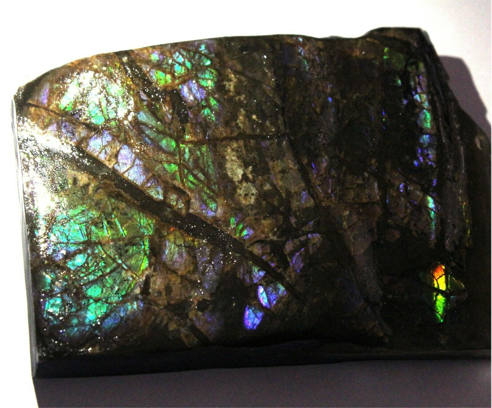 482.90Cts Natural Multi Flash Ammolite Rough Earth Mineral Rock Raw ...