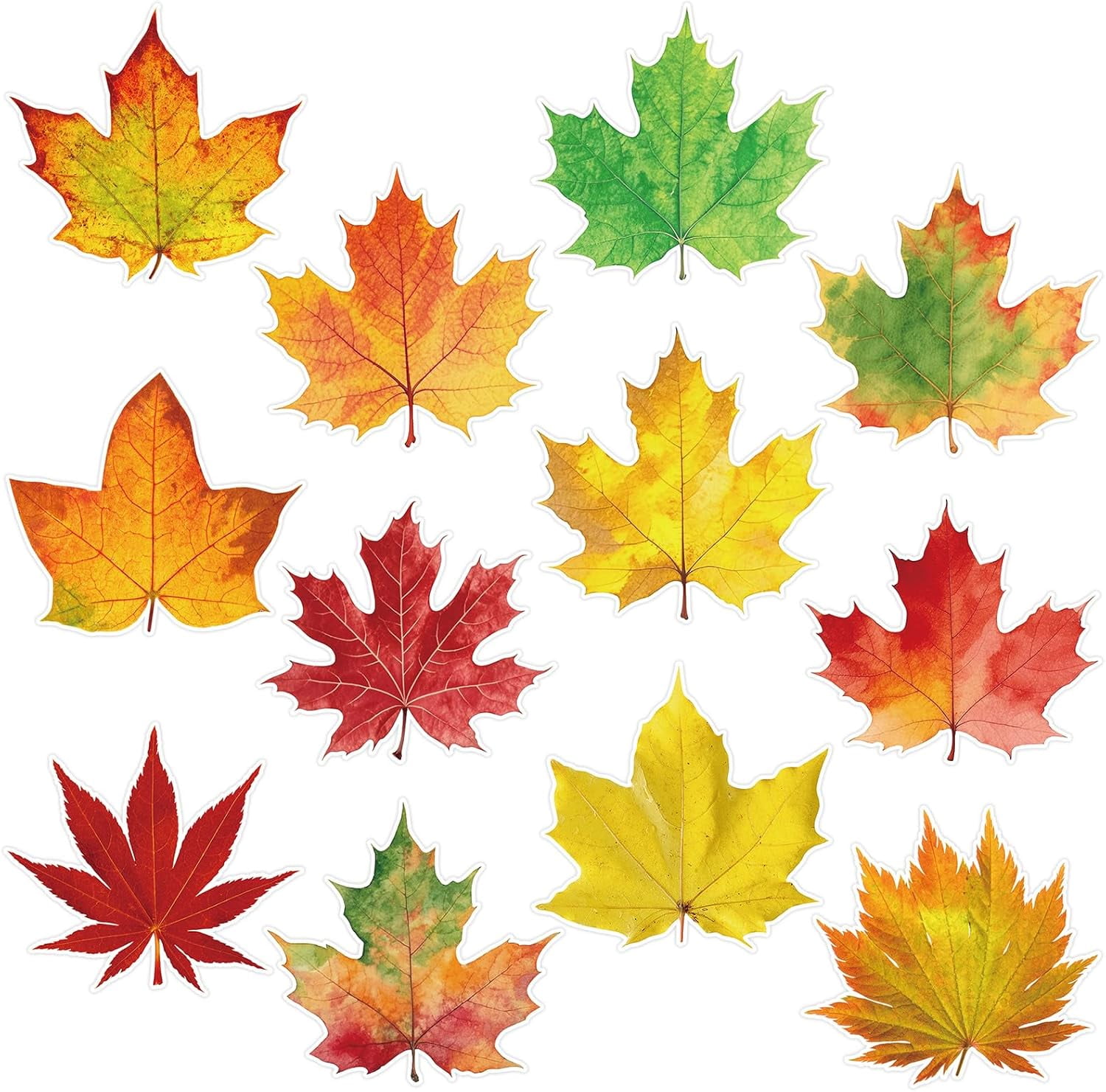 48Pcs Fall Leaves Cut Outs, Autumn Maple Leaves Paper Cutouts Fall ...