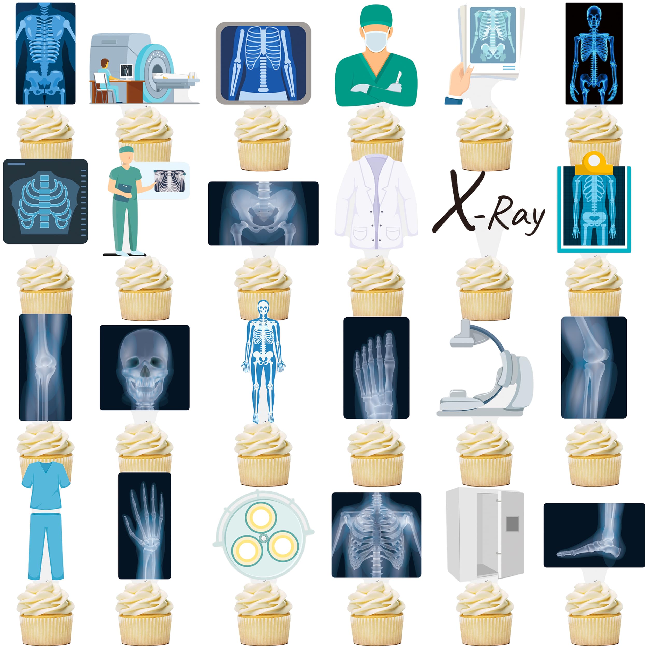 48Pcs Radiology X Ray Cupcake Toppers Radiology Birthday Party ...