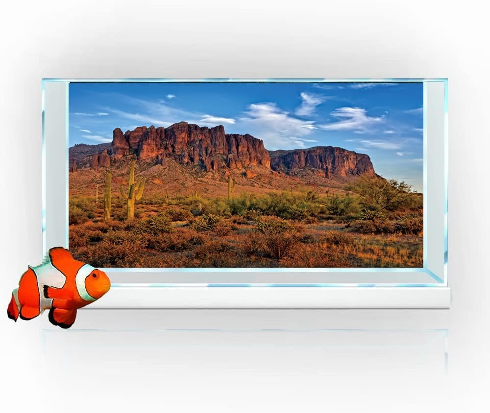 48X20IN Desert Rock Cactus Oasis Reptile Habitat Background, Natural ...