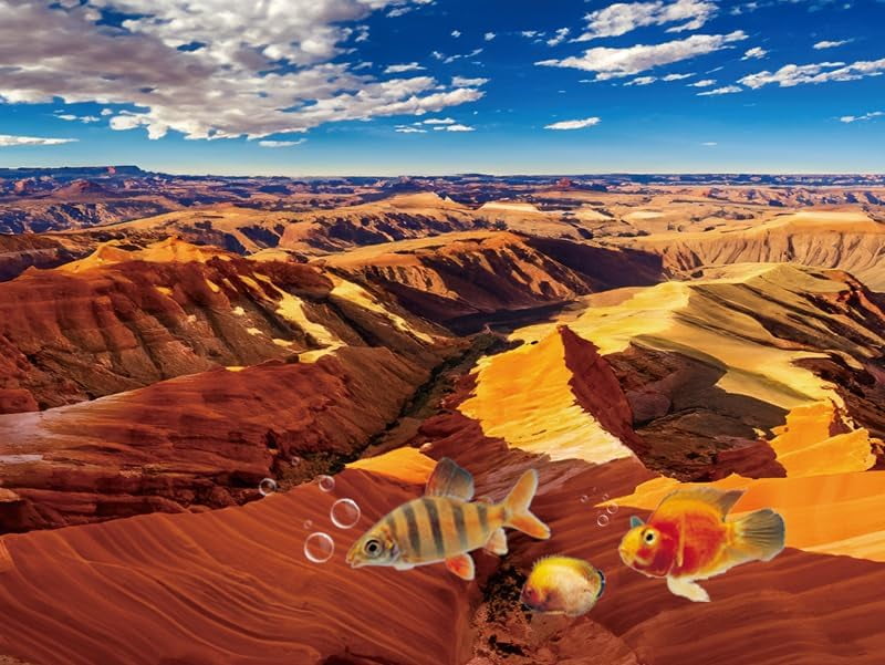 48X24IN Desert Rock Reptile Habitat Background, Blue Sky Sun Desert ...