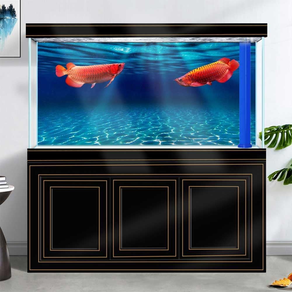 48X24IN Natural Undersea Aquarium Background, Underwater Ocean Sunlight ...