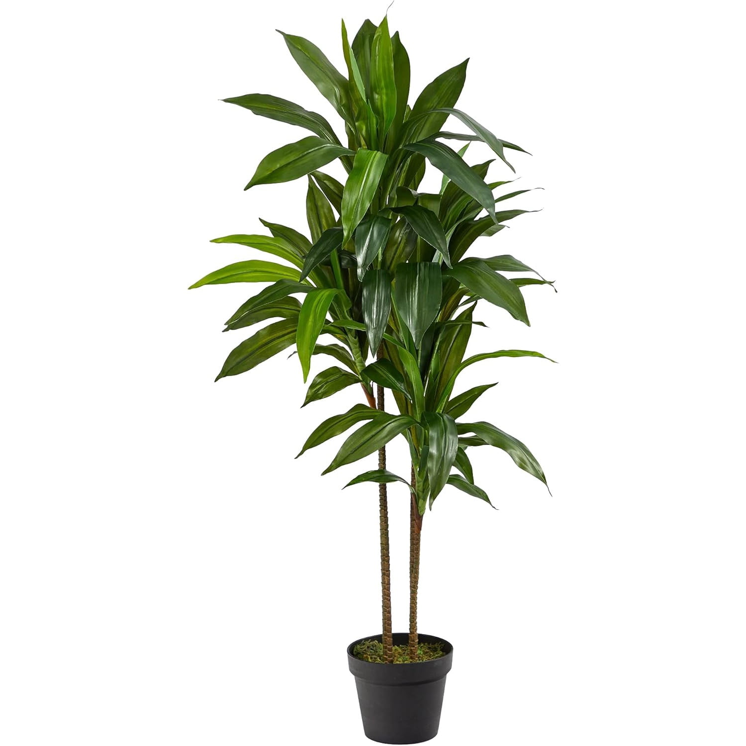 48in Dracaena Silk Plant (Real Touch) Green - Walmart.com