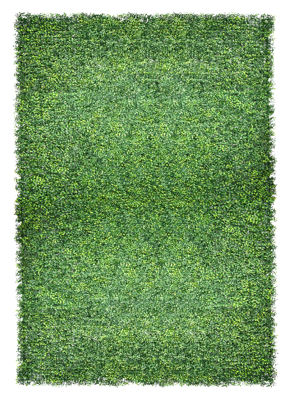 Screenguard 48in H x 8ft L Faux Green Boxwood Privacy Screen with ...