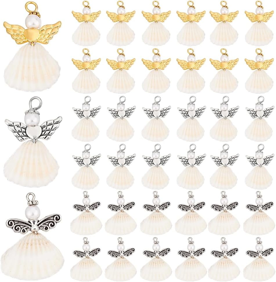 Angel Wing Seashells