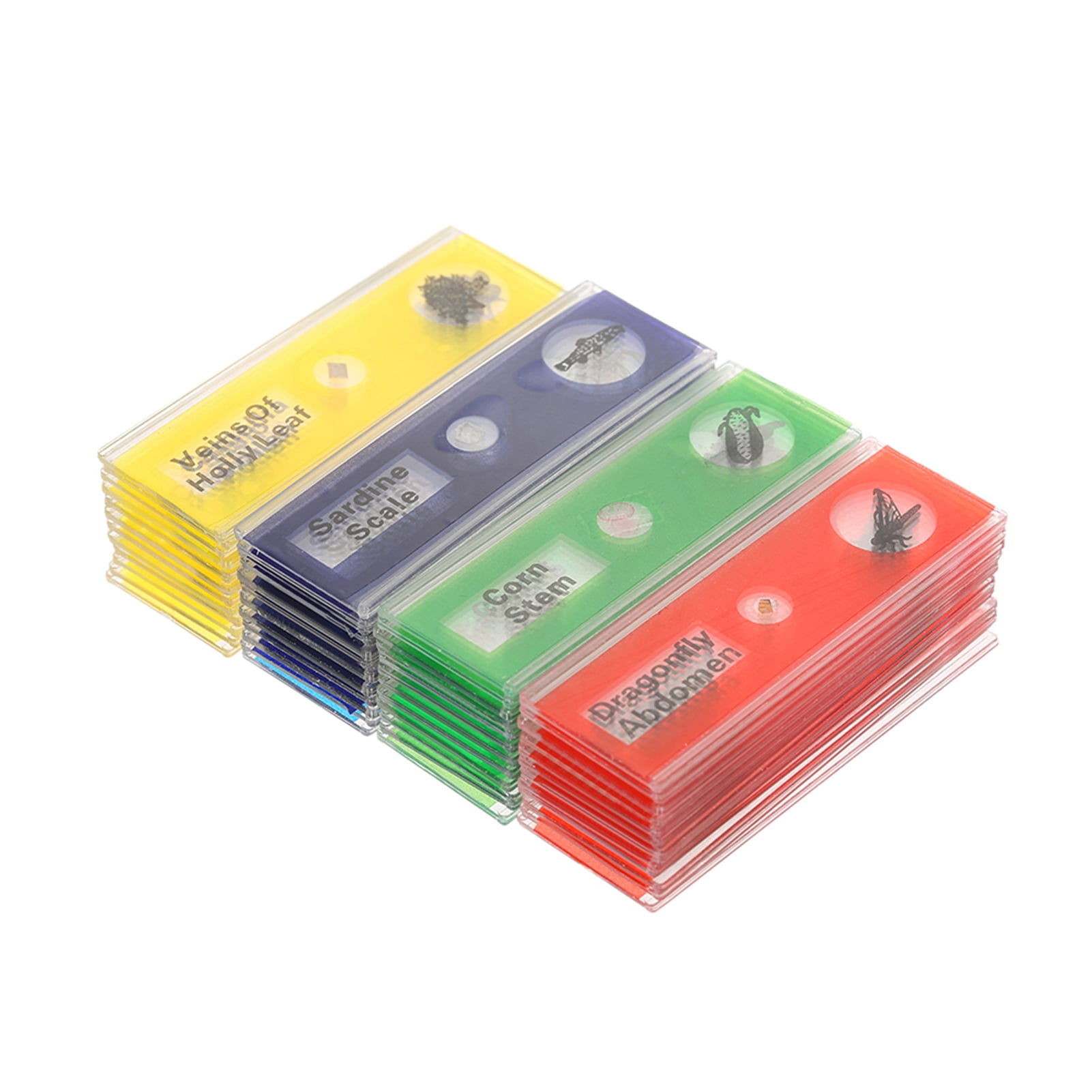 48Pcs/Set Prepared Microscope Slides Animals Insects Plants Sample ...