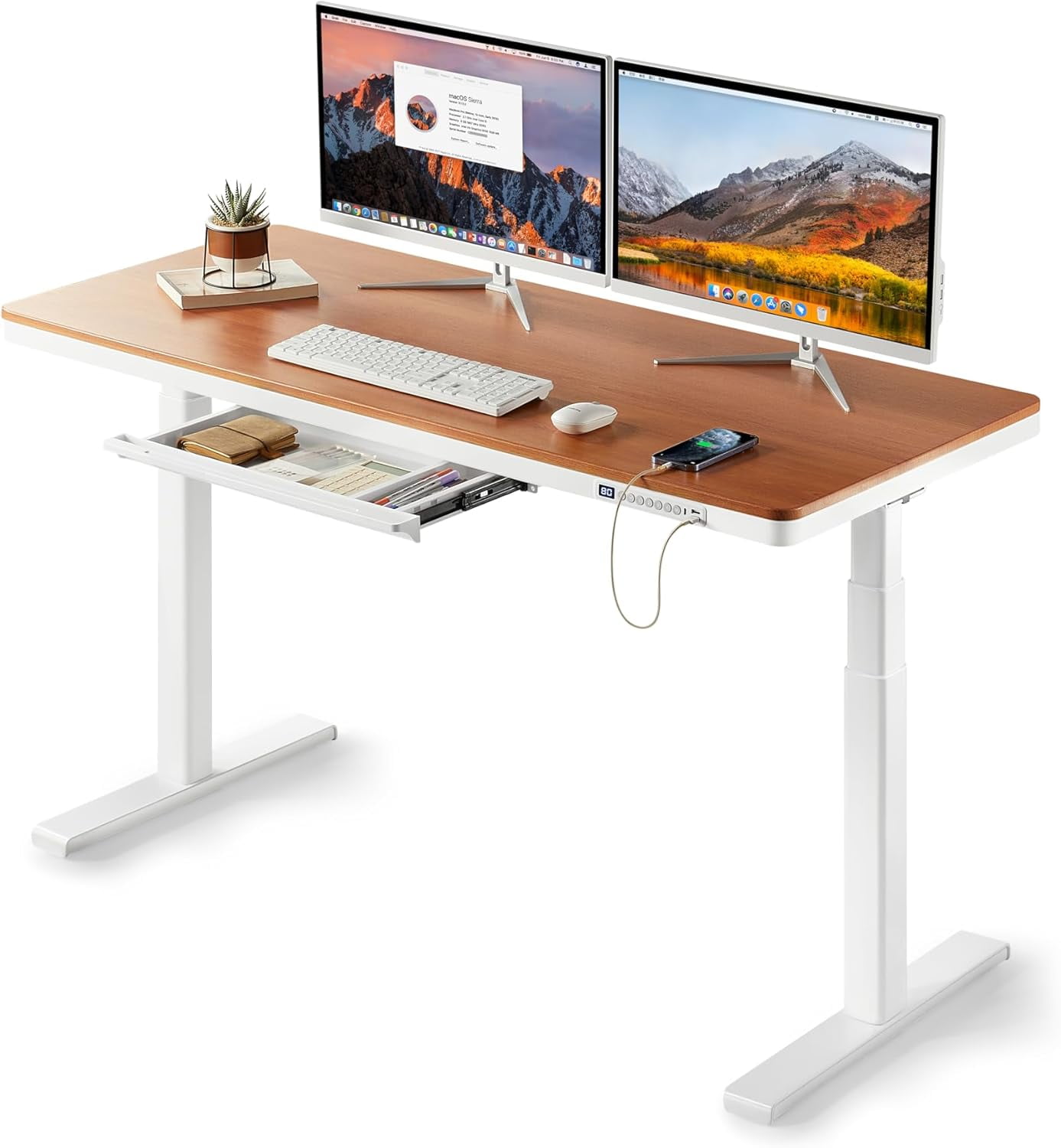 48x24 Inches Whole Piece Electric Standing Desk with Drawer, Height ...
