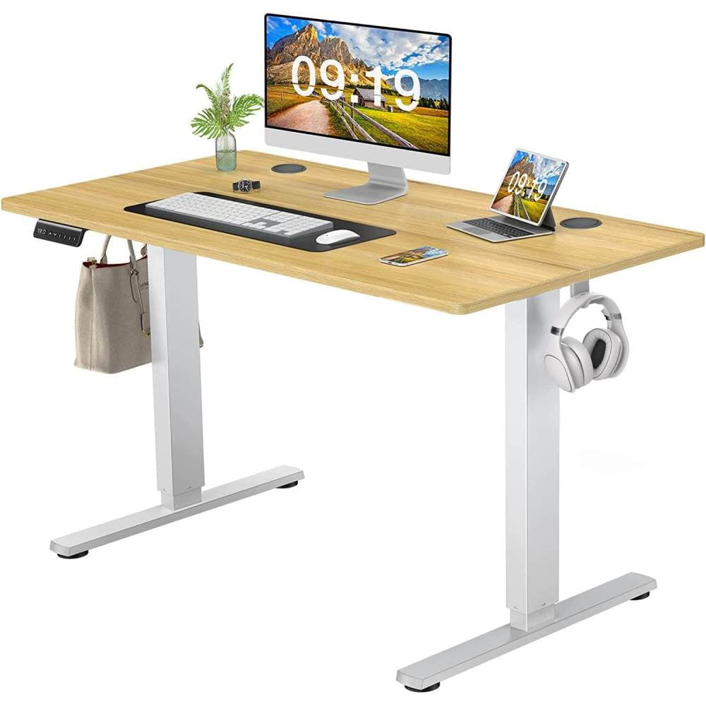 48x24 inch Electric Standing Desk with 2 Rear End Wiring Holes, Hook ...