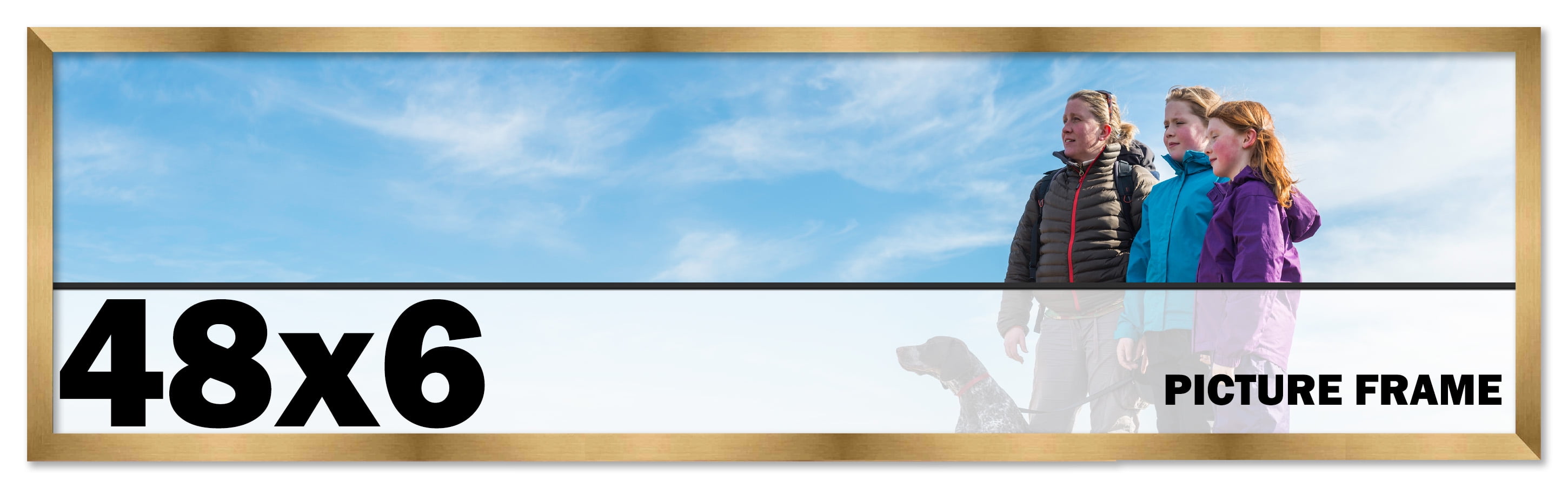 48x6 Frame Gold Bronze Modern Solid Wood Picture Frame | 0.75 Inch ...