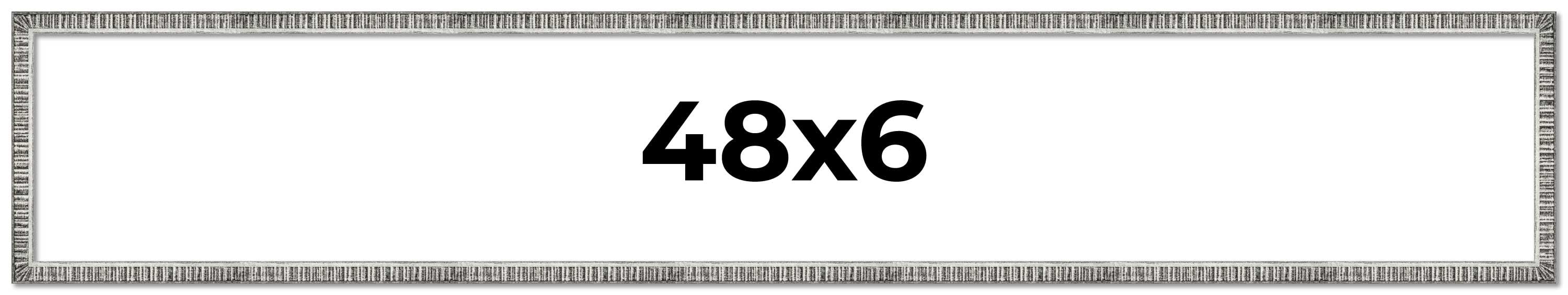 48x6 Frame Silver Picture Frame - Complete Modern Photo Frame Includes ...