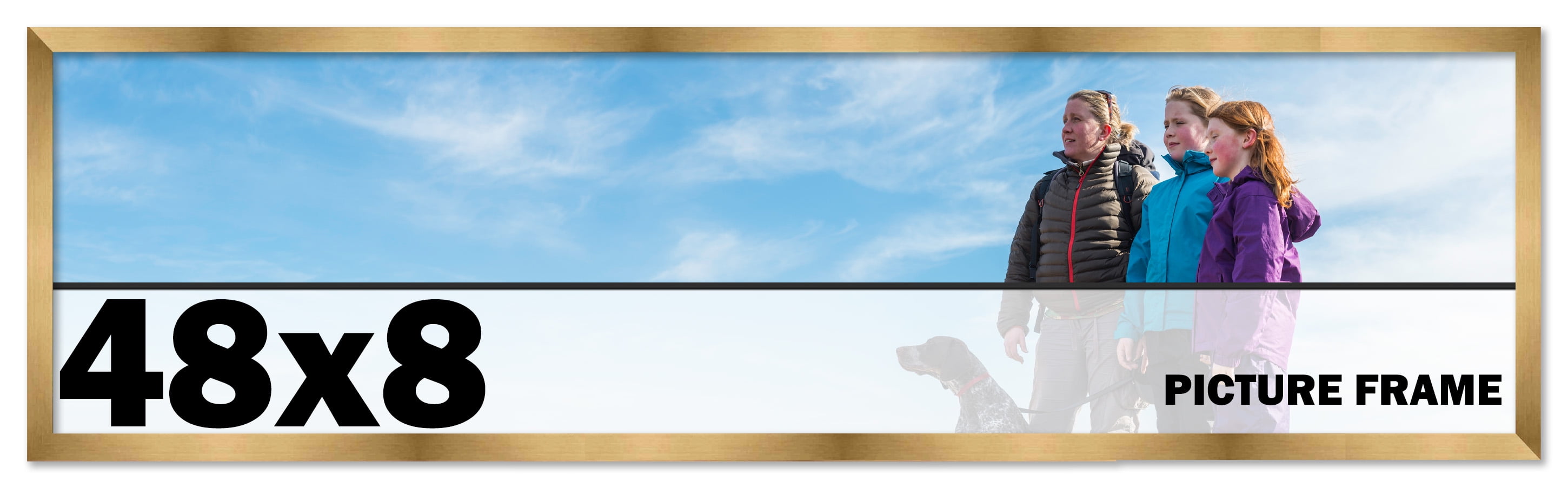 48x8 Frame Gold Bronze Modern Solid Wood Picture Frame | 0.75 Inch Moulding Width | Includes UV ...