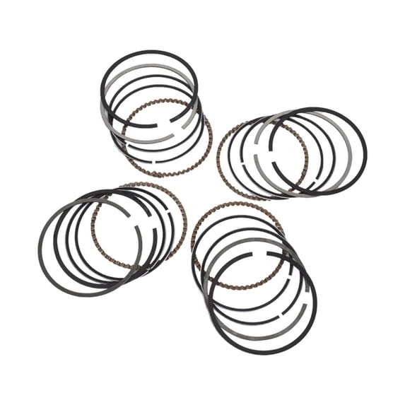 49.5mm Motorcycle Engine Piston Rings Kit For Suzuki GSX250 GSX250FX ...
