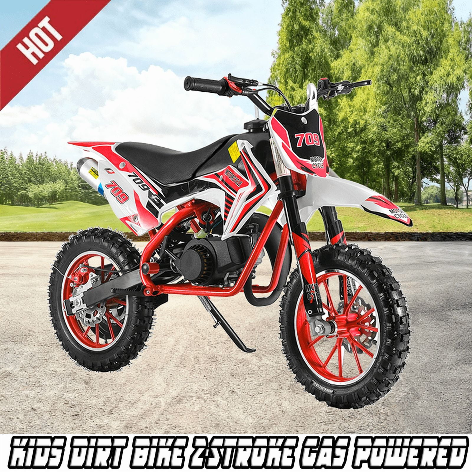 49cc 2-Stroke Kids Dirt Bike, Gas Power Motocross with Front and Rear ...
